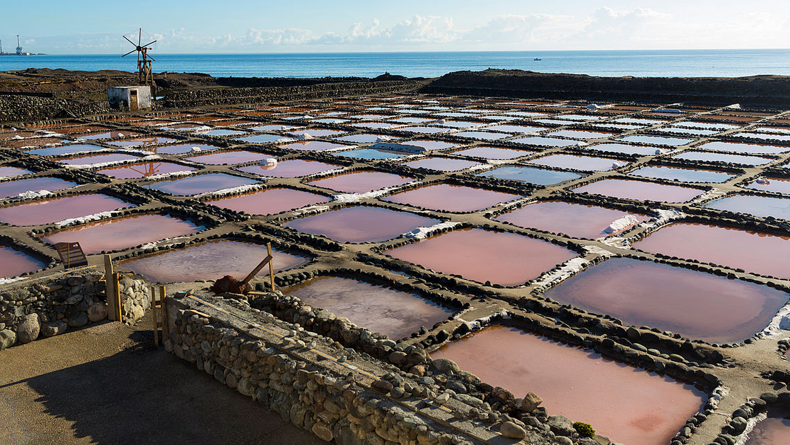 Las salinas en Gran Canaria, el tesoro blanco que vino del mar / Blog ...
