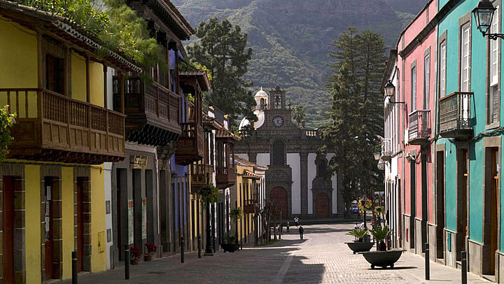 El mágico mundo verde de Gran Canaria / Blog Gran Canaria